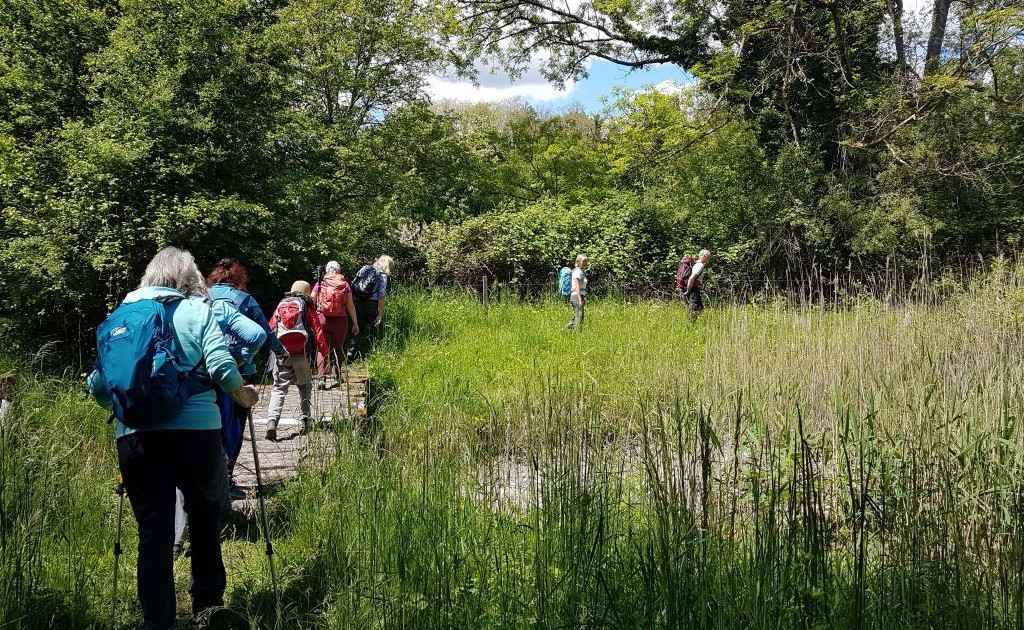 Actualités • Genève Rando