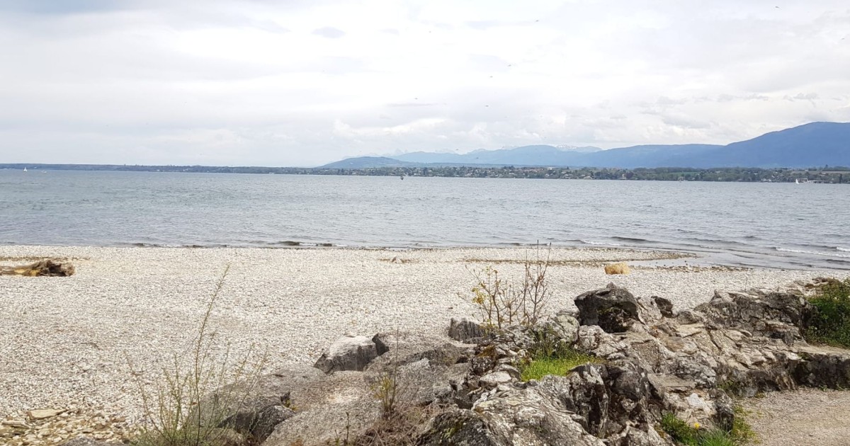 Randonnées accompagnées • Genève Rando