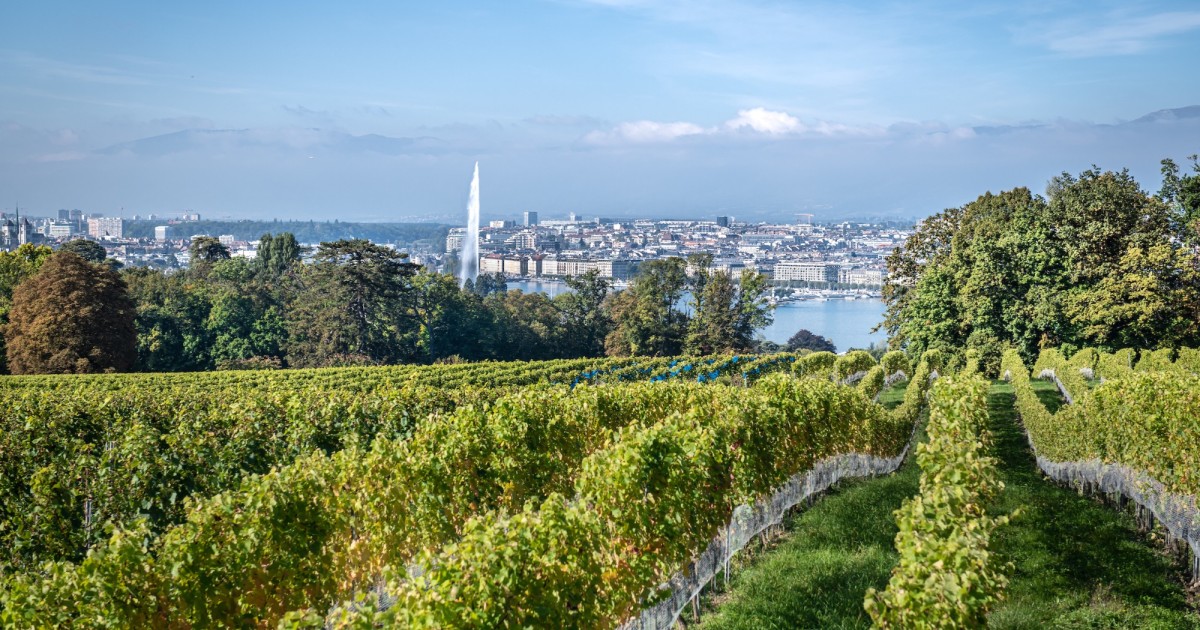 Randonnées individuelles • Genève Rando