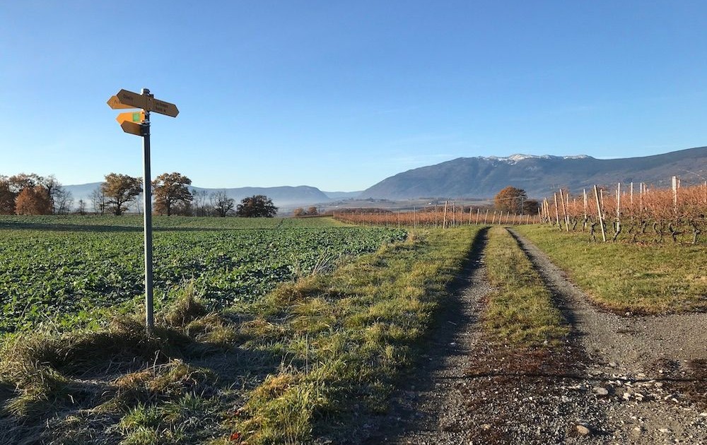 Adhésion • Genève Rando