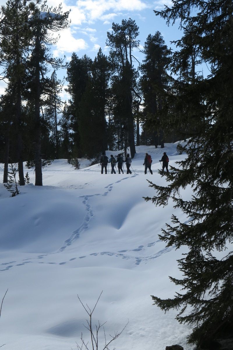 Accueil • Genève Rando