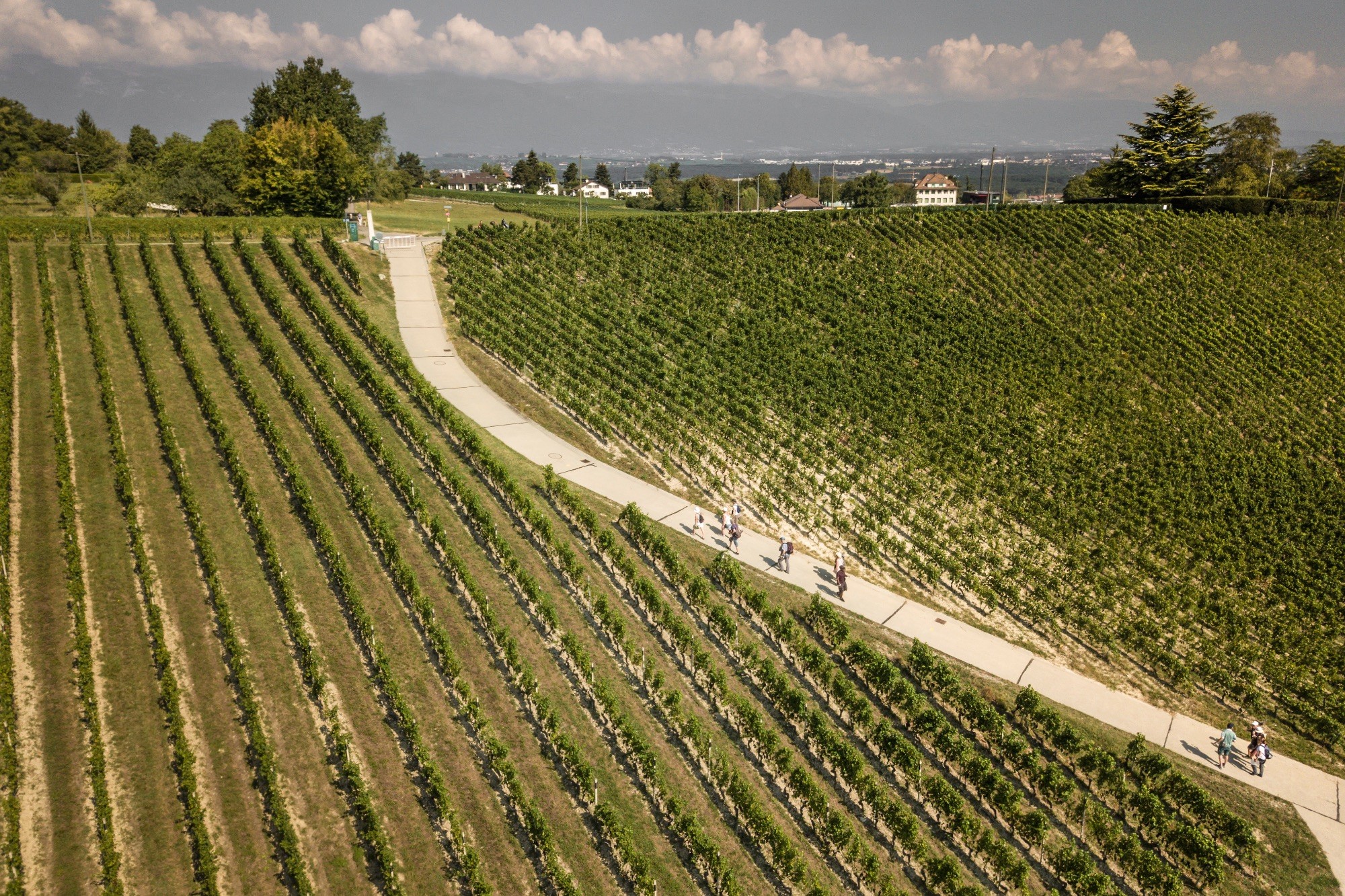 Randonner • Genève Rando